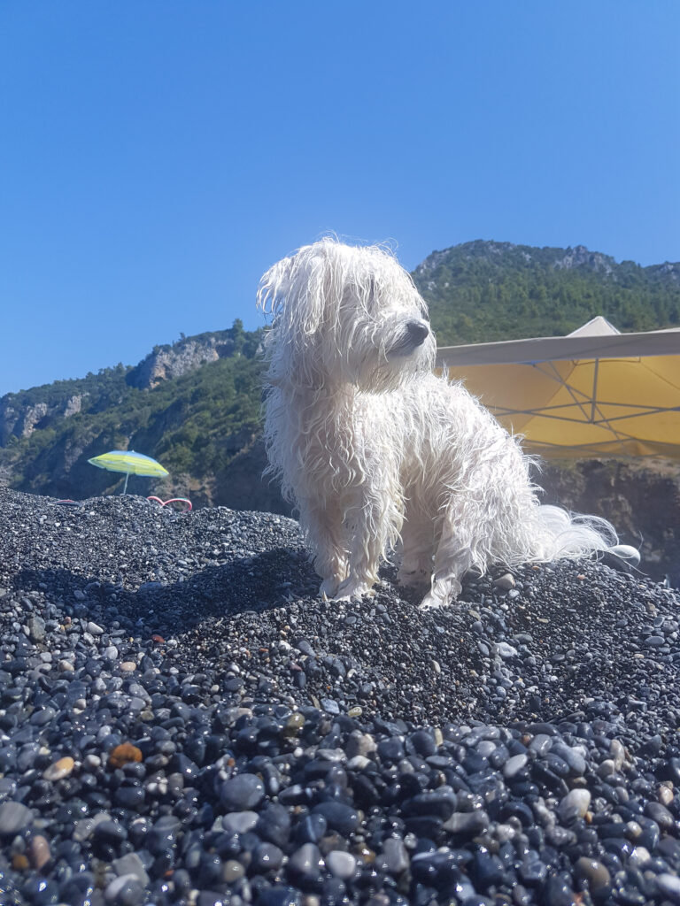 Πάμε για Μπάνιο στην Εύβοια! (Μια Ανάσα απ’ την Αθήνα) - PART 2. - We ...